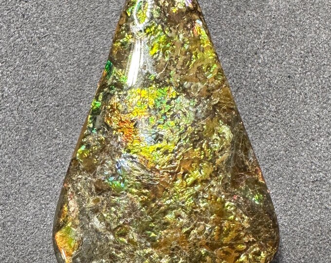 Rare Canadian Natural Ammolite Hand Specimen | Vibrant Red-green ...