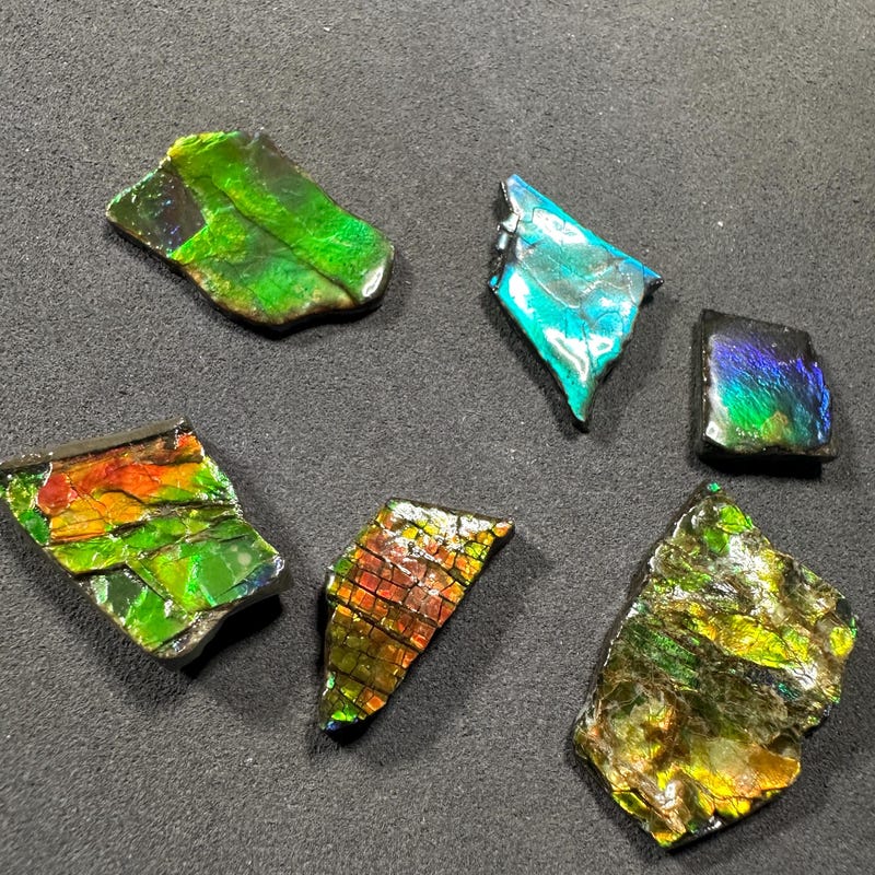 Canadian Ammolite - Etsy