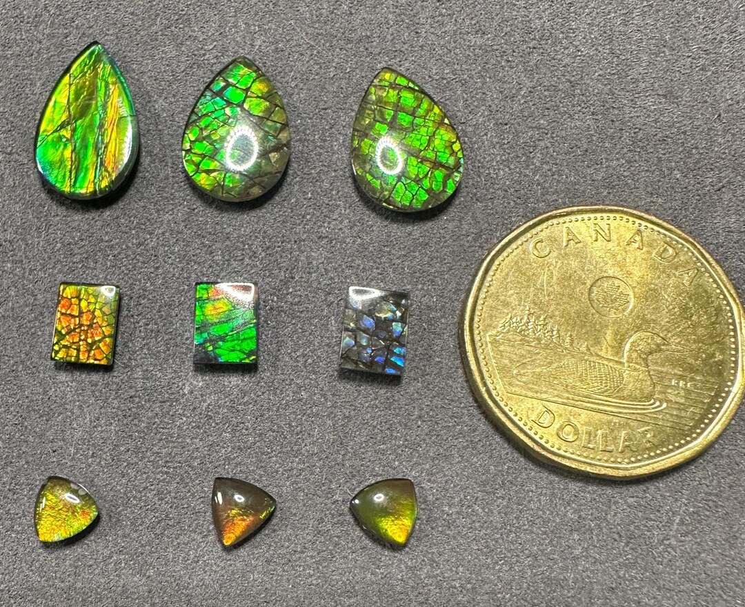 Natural Canadian Ammolite Gemstone – Triplet Ammolite for Jewelry ...