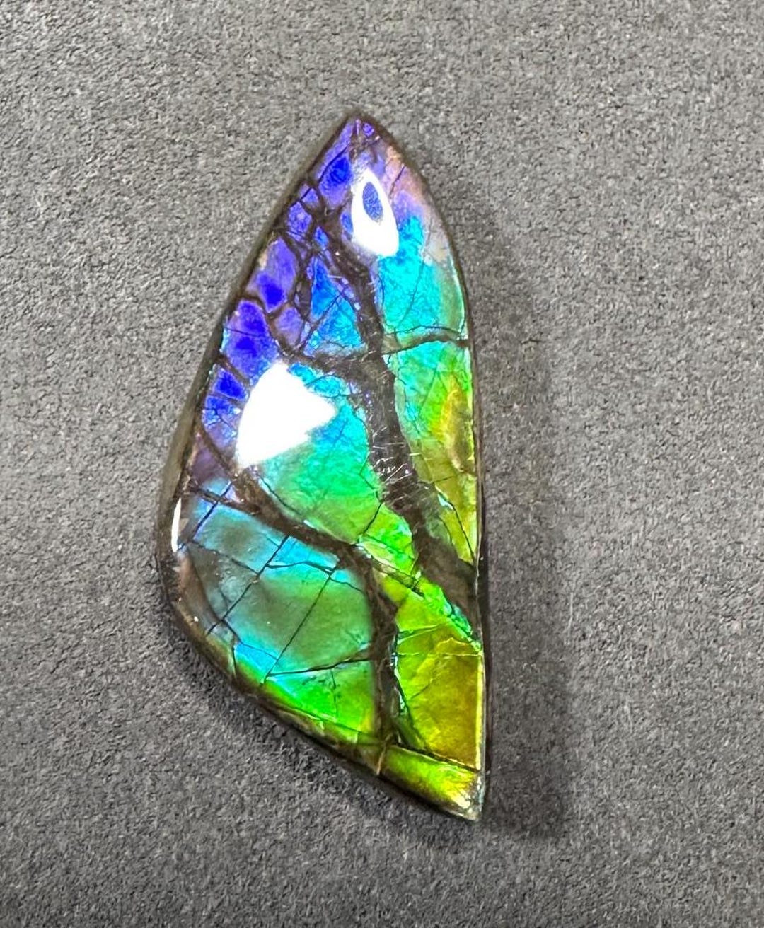 Canadian Ammolite Gemstone: 16CT Freeform Pendant Stone, Blue/violet ...
