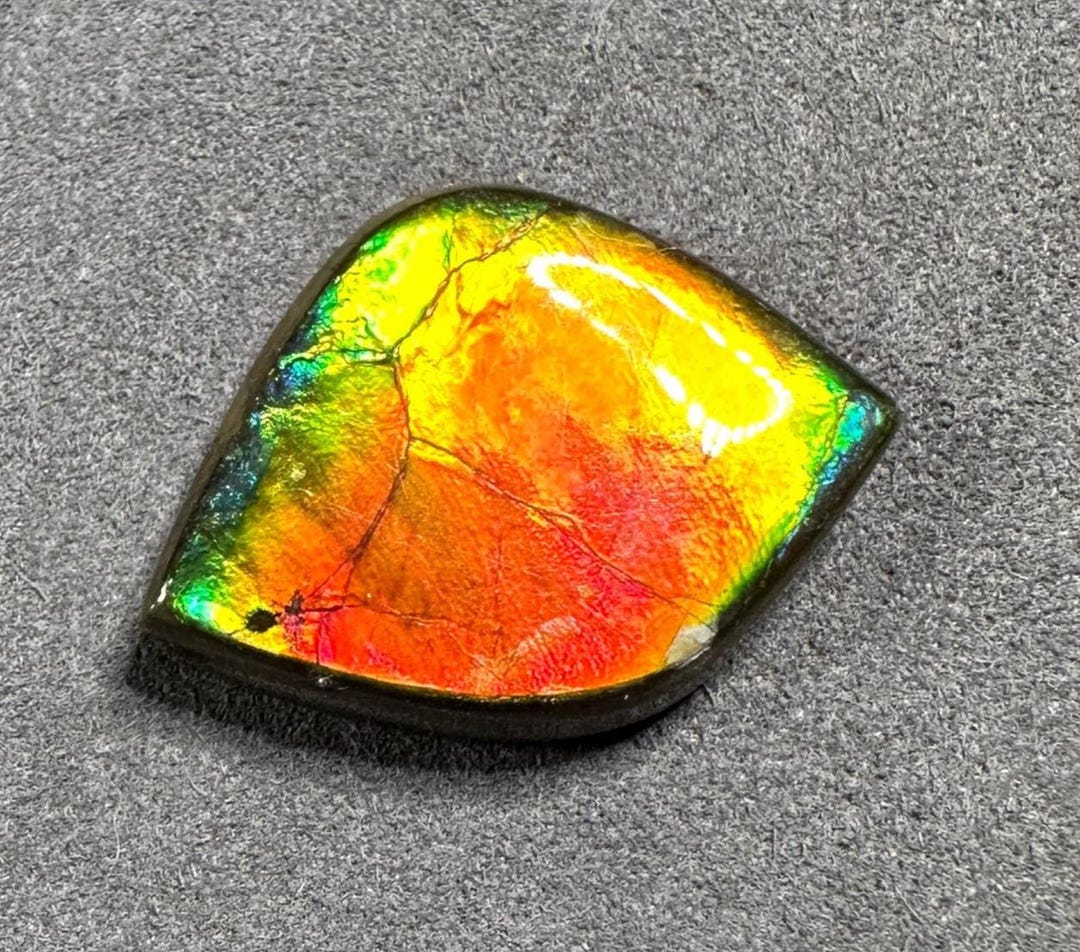 Canadian Ammolite Gemstone: 20 CT Freeform Red Orange Rainbow ...