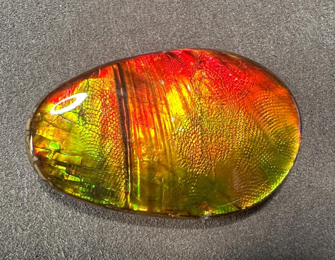 Natural Canadian Ammolite – A Rare Fossil Gemstone With Ancient ...