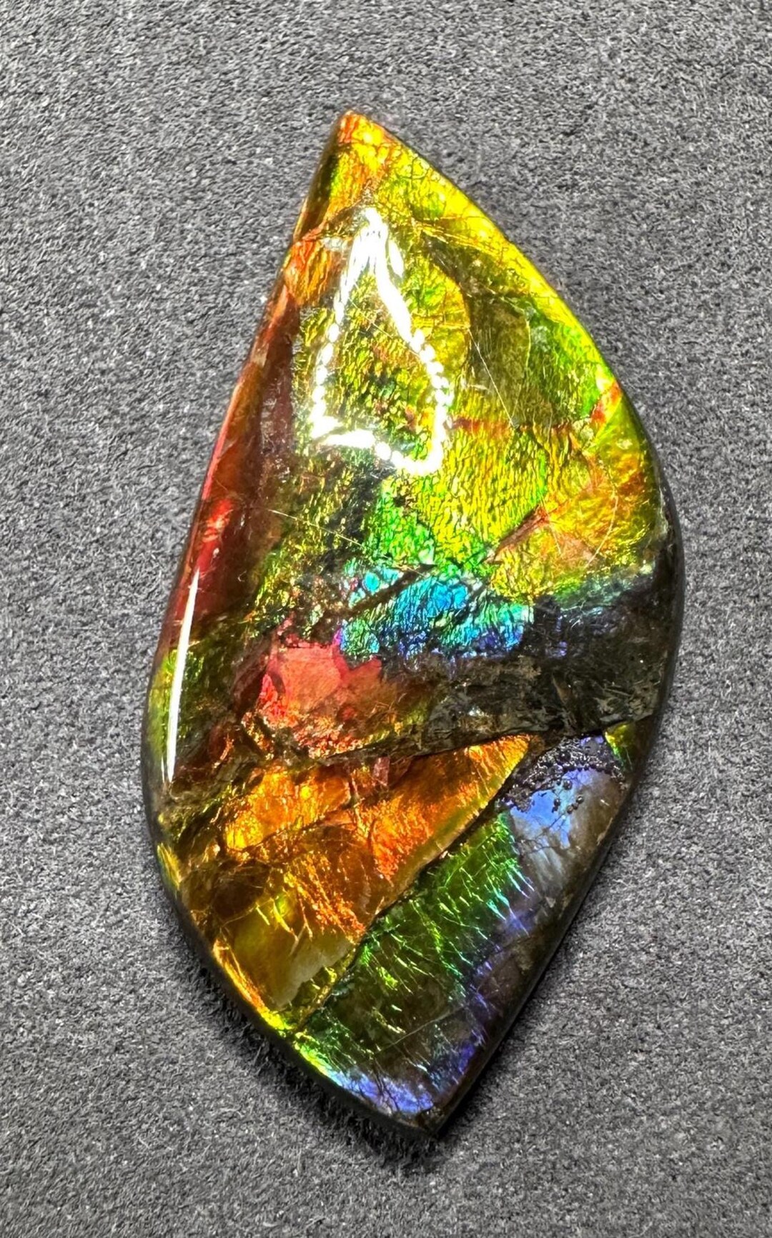 Natural Canadian Ammolite – Freeform, Rainbow Colors – 34.5ct Loose ...