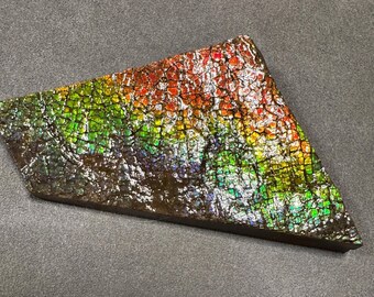 Rare Canadian Natural Ammolite Hand Specimen | Vibrant Red-green ...