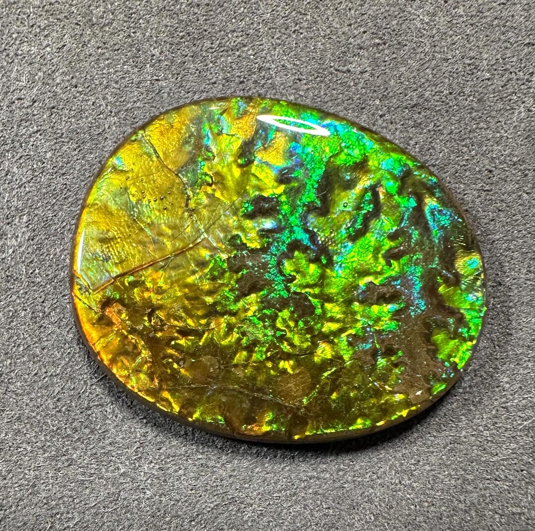 Natural Canadian Ammolite – Oval, Suture Line Imprint – 26CT Loose ...