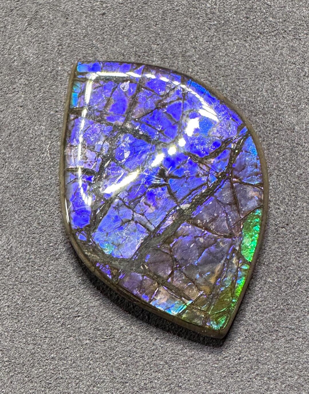 Canadian Ammolite Gemstone: Rare Blue-violet Iridescent Fossil (52ct ...