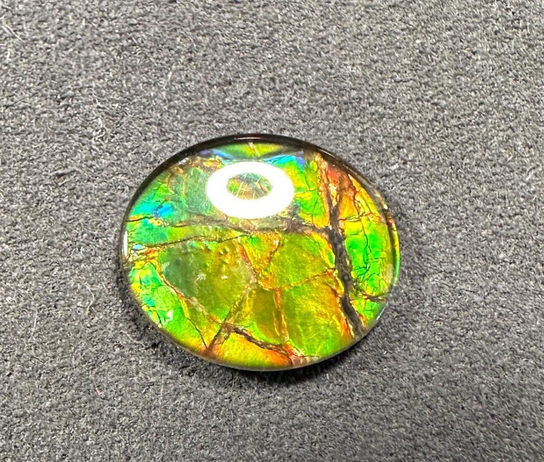 Canadian Ammolite Gemstone: Natural Organic Oval Cabochon (14x12mm) - Etsy