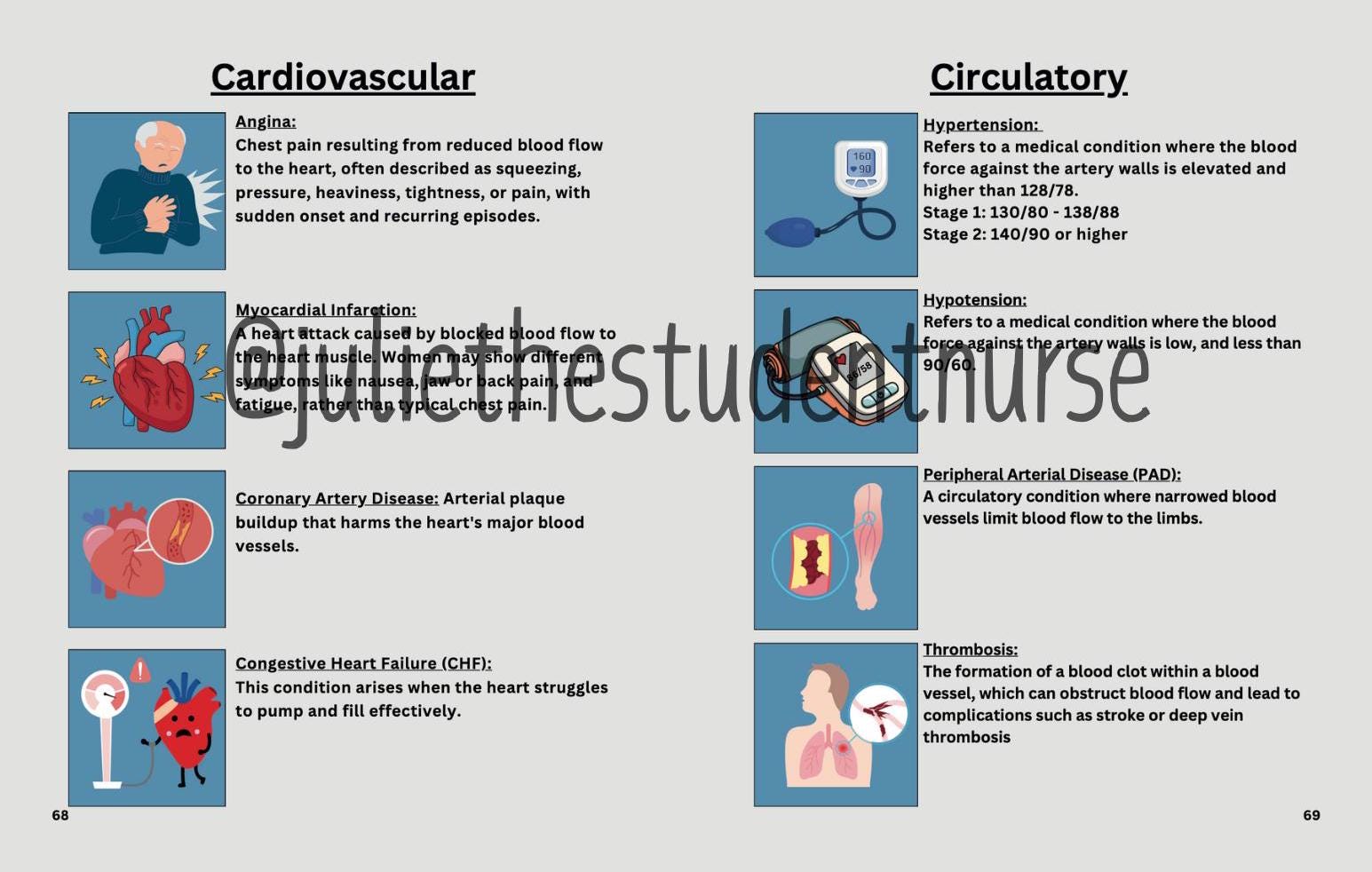 Certified Nursing Assistant Study Guide - Etsy