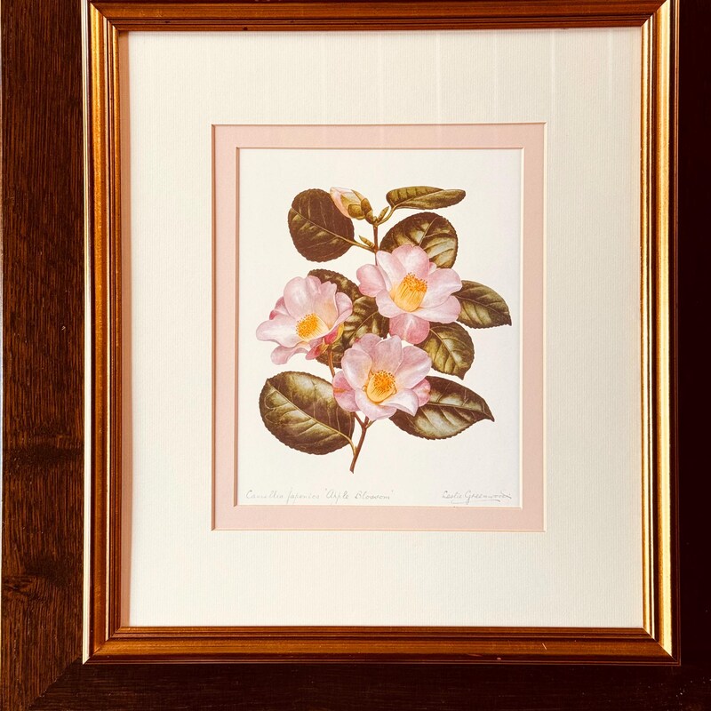 18x16 Frame - Etsy