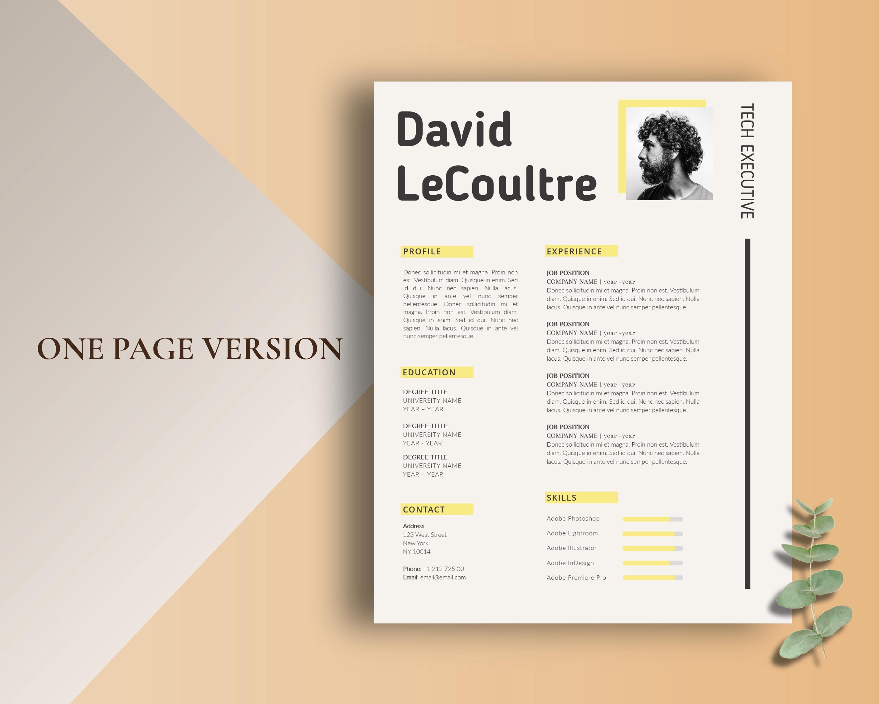 Premium Executive Resume Template, Editable Customizable Word Template ...