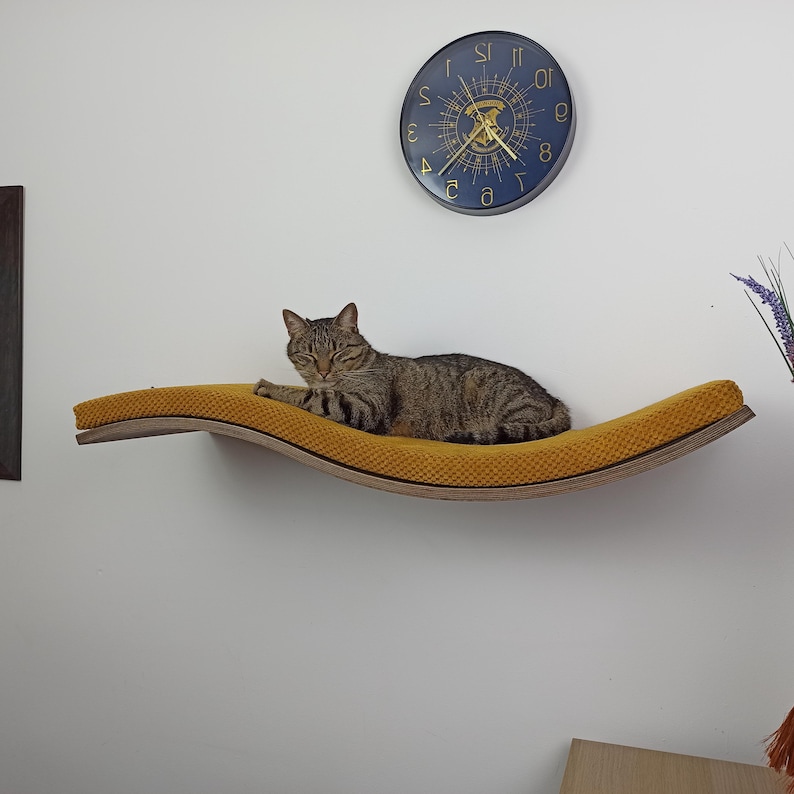 Floating Cat Shelf With Wooden Step | Wall Climbing Shelf for Cats ...