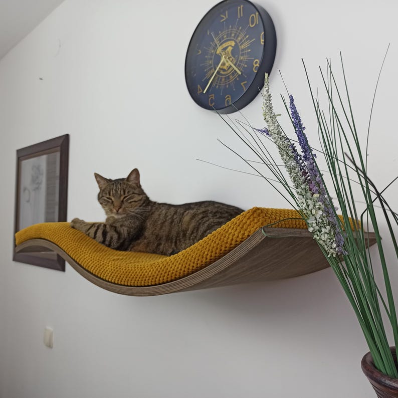 Floating Cat Shelf With Wooden Step | Wall Climbing Shelf for Cats ...
