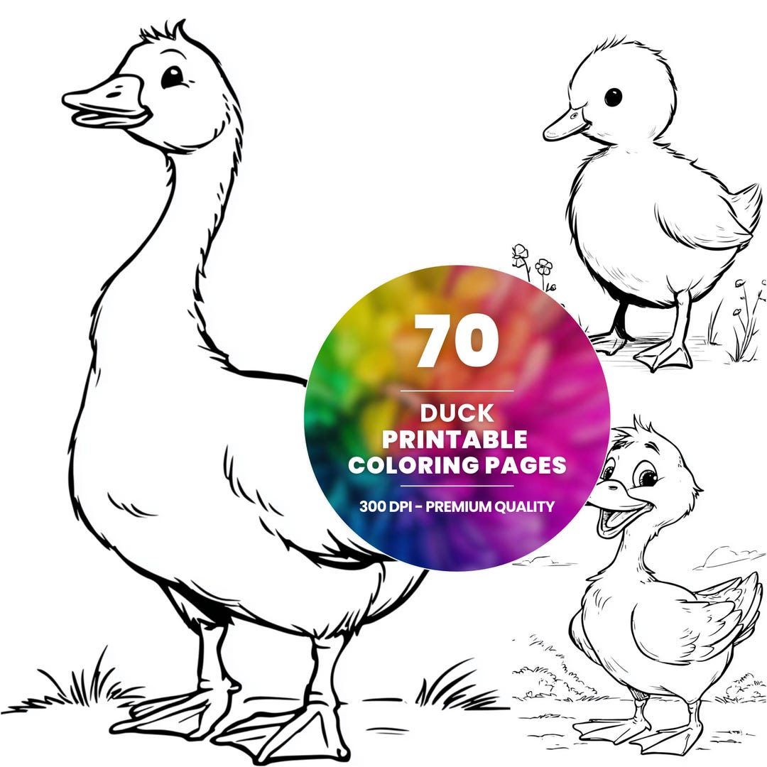 Duck Coloring Pages, Farm Animal Line Art for Kids (PDF Download) - Etsy