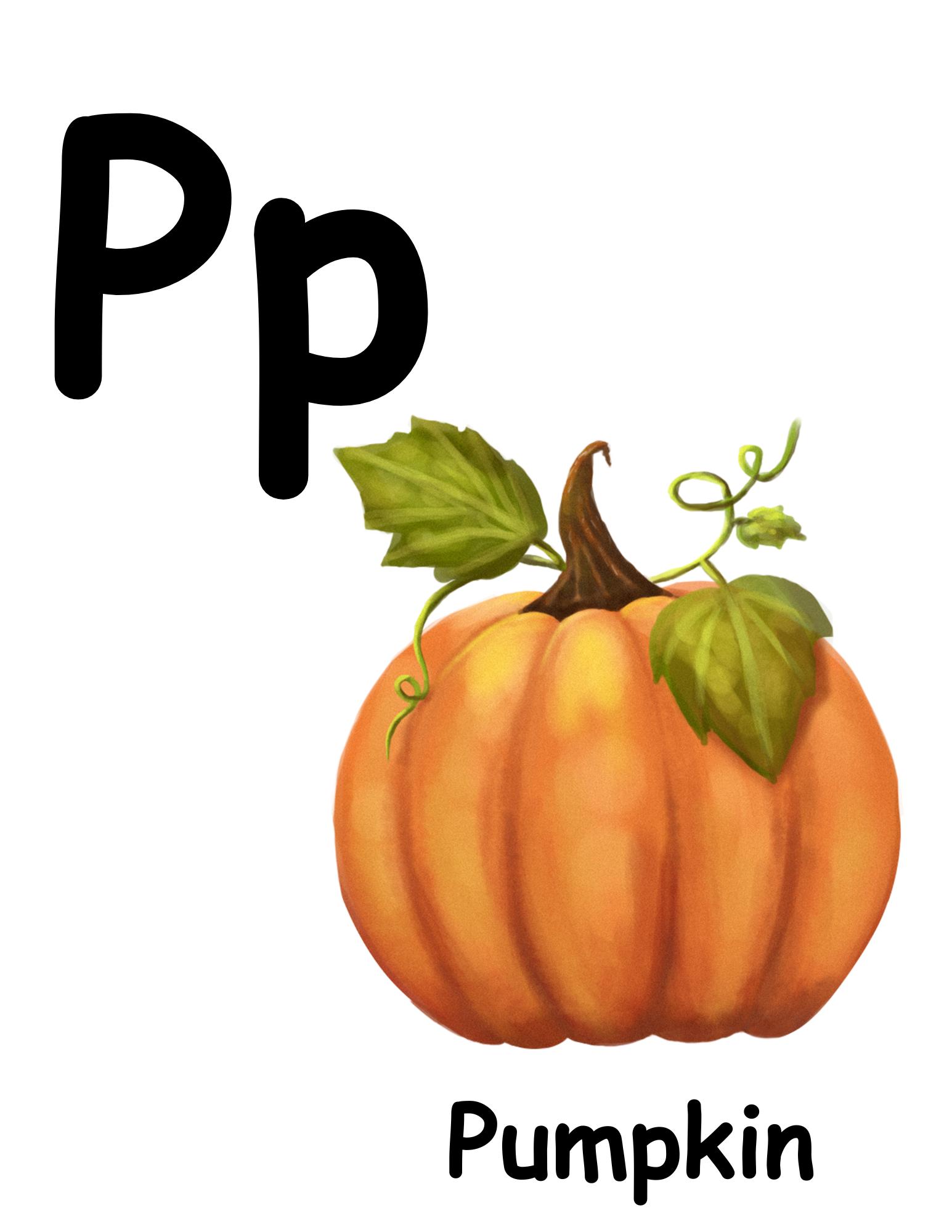 Alphabet Posters, Large Format for Classroom Use ,alphabet Cards ...