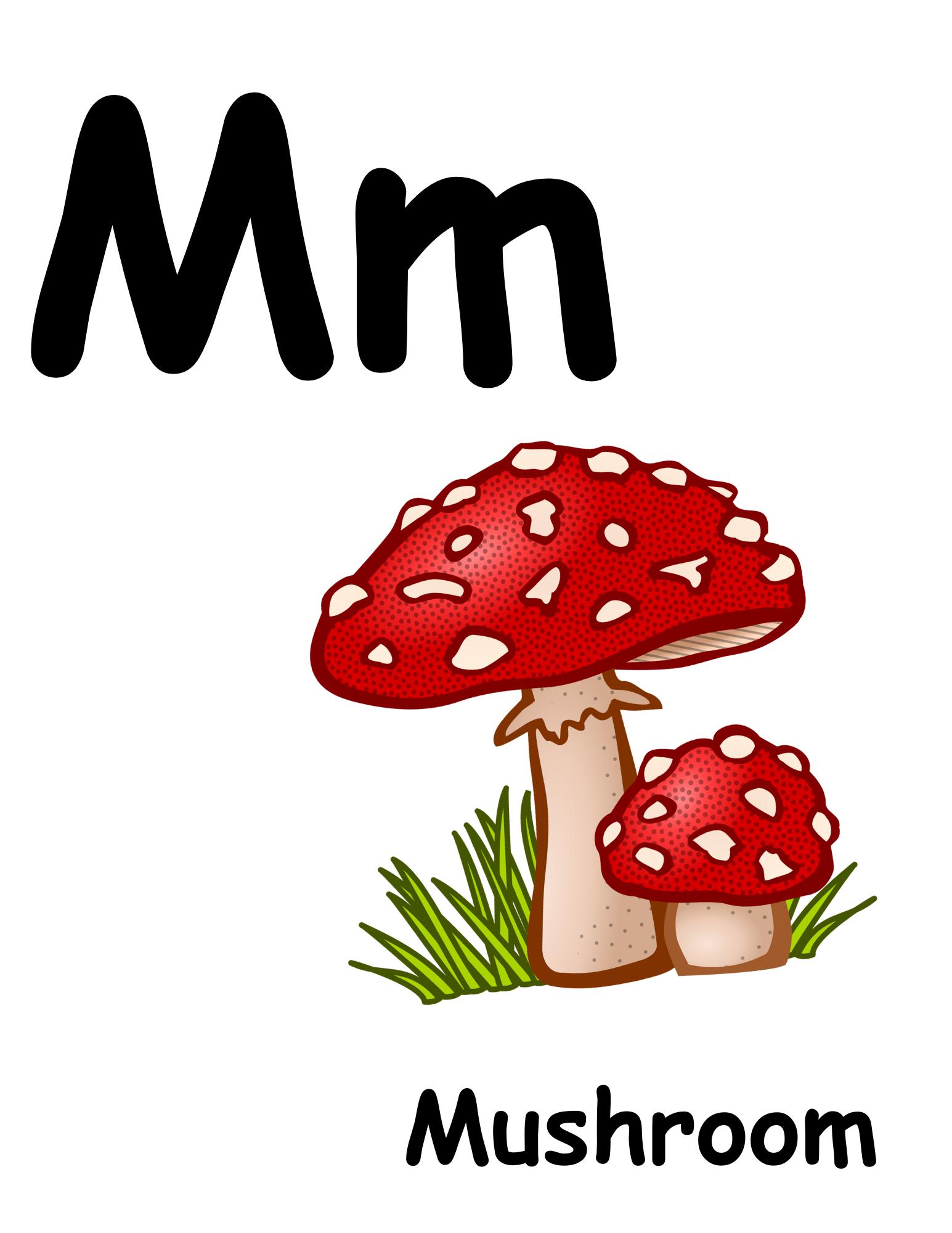 Alphabet Posters, Large Format for Classroom Use ,alphabet Cards ...