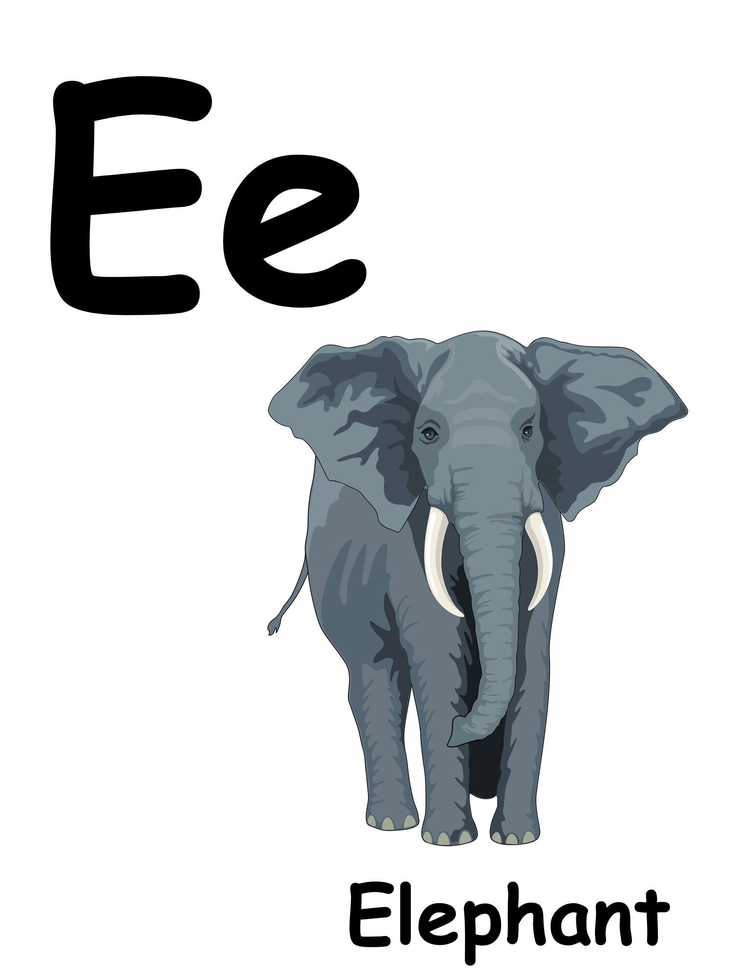 Alphabet Posters, Large Format for Classroom Use ,alphabet Cards ...