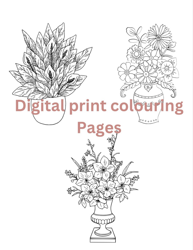 Bold and Easy Flower Colouring Pages - Etsy