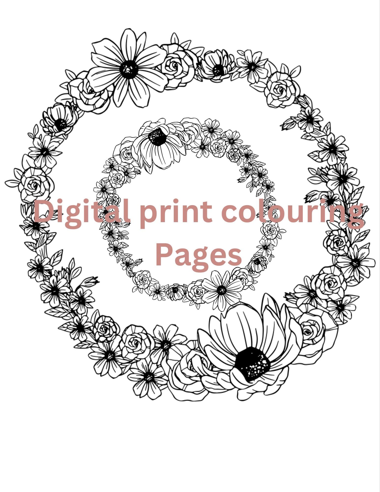 Bold and Easy Flower Colouring Pages - Etsy