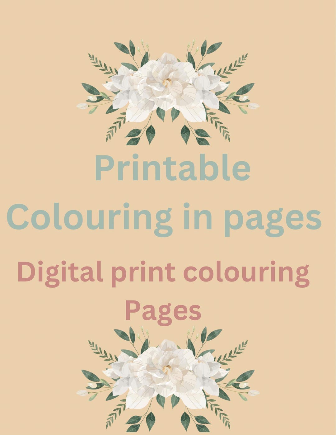 Bold and Easy Flower Colouring Pages - Etsy
