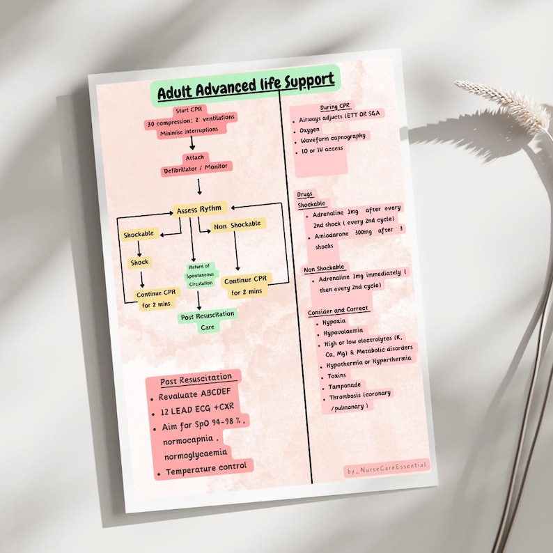 Advanced Life Support Management Pathway | A-G Assessment | ED Notes ...