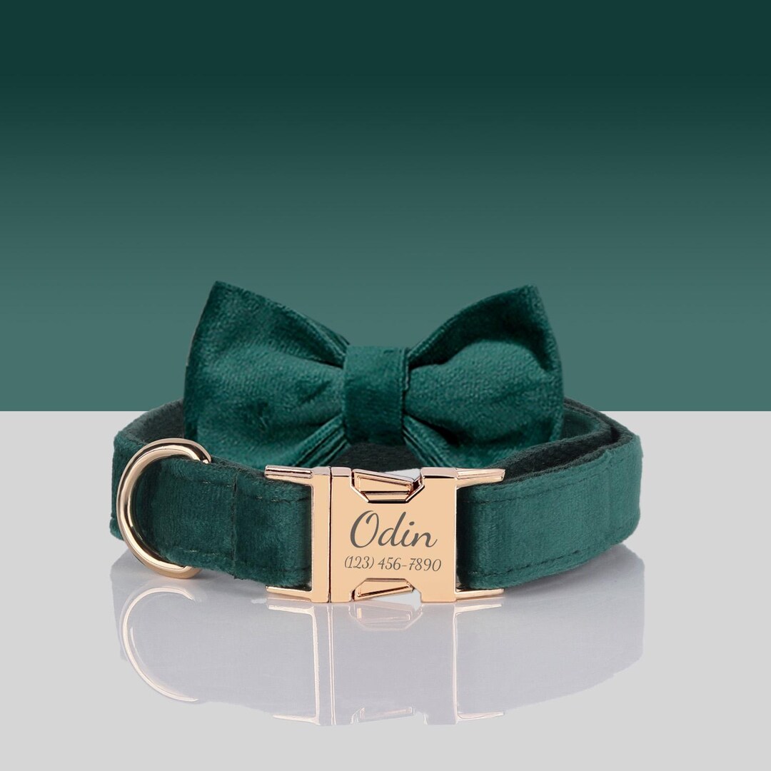 Emerald Green Pet Collar, Engraved Dog Collar and Lead, Collar and ...
