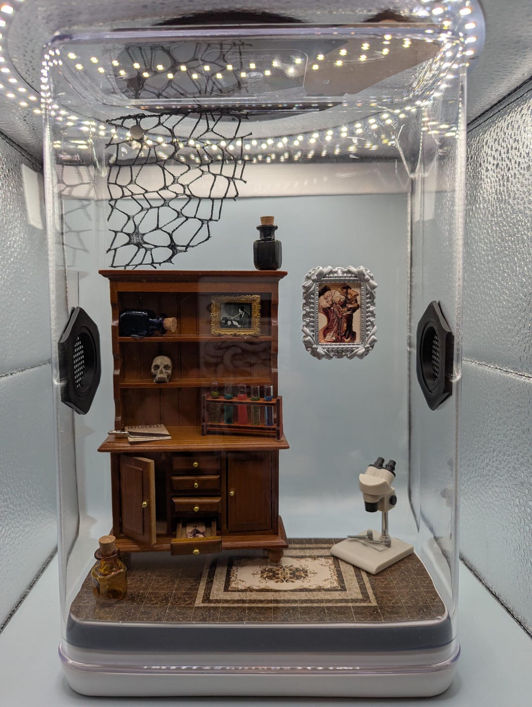 Jumping Spider Enclosure - Etsy