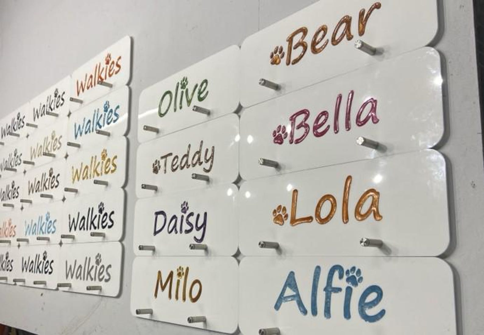 Personalised Dog Name Lead/harness Wall Peg Holder. Choose From 16 ...