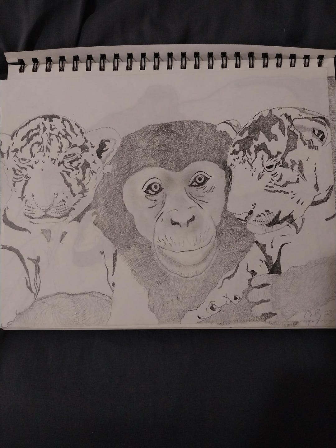 Black & White Hand Drawn Illustration of Chimpanzee Cuddling Two Baby ...