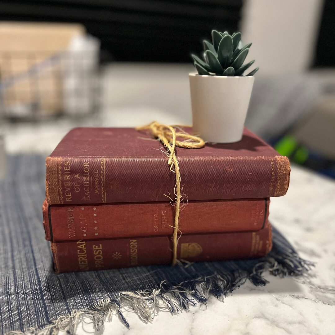 Decorative Book Stacks, Vintage Books, by Color, Curated Sets - Etsy