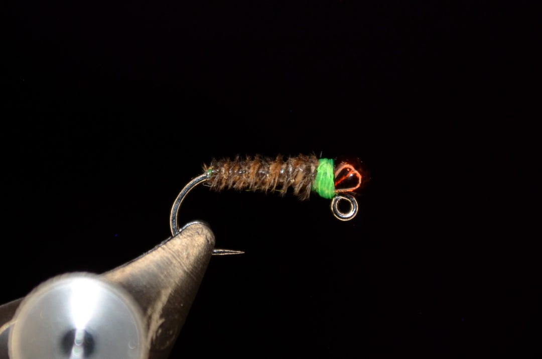 4 Pack - Cased Caddis (tungsten) - Etsy
