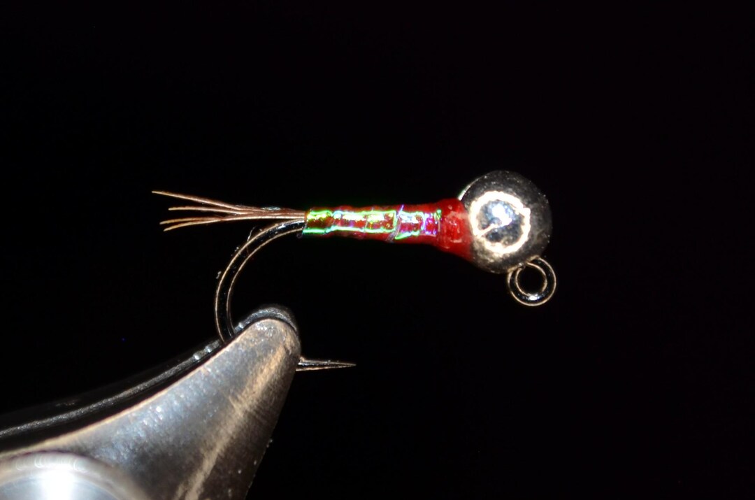 4 Pack - Rainbow Warrior Perdigon (tungsten) - Etsy