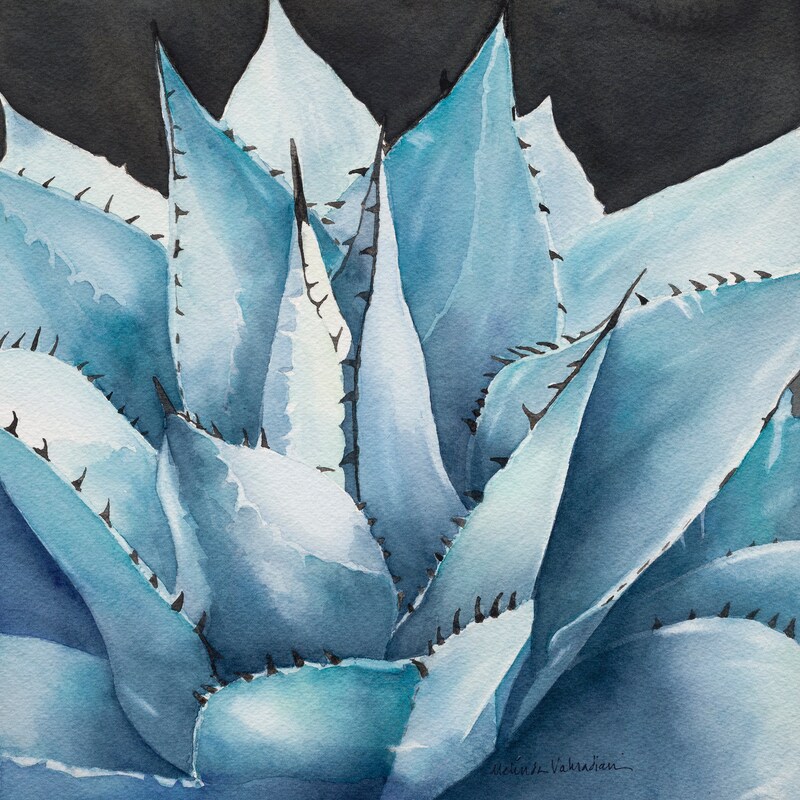 Blue Agave - Etsy