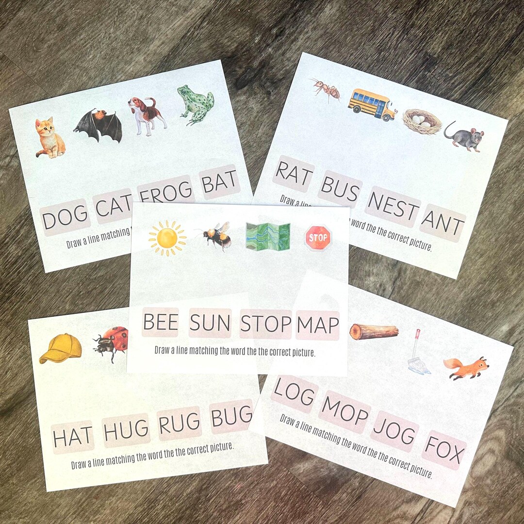 Beginner Reader Word Match Kids Homeschool Kit Reading Lesson Animals ...