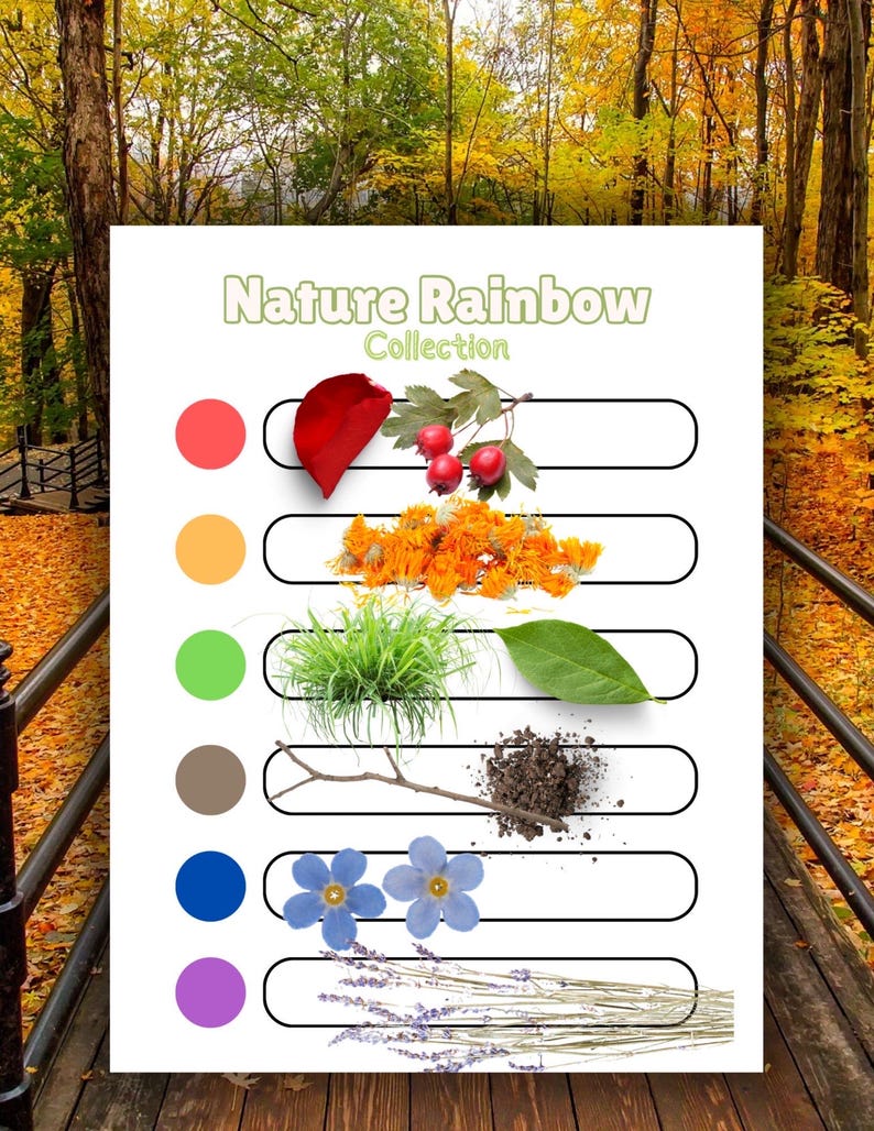 Kids Nature Rainbow Scavenger Hunt Activity - Etsy
