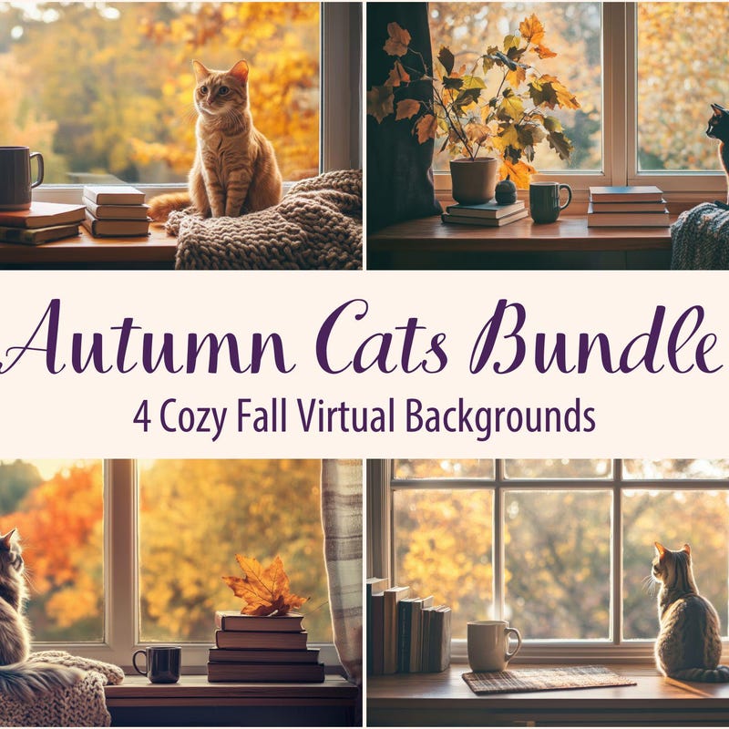 Cat Zoom Backdrop - Etsy