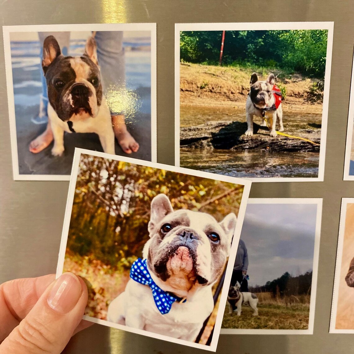 Personalized Photo Magnets, Custom Fridge Magnets, Personalized Magnets ...