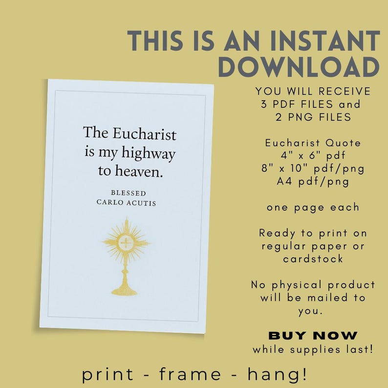 Blessed Carlo Acutis Quote – “the Eucharist is My Highway to Heaven ...