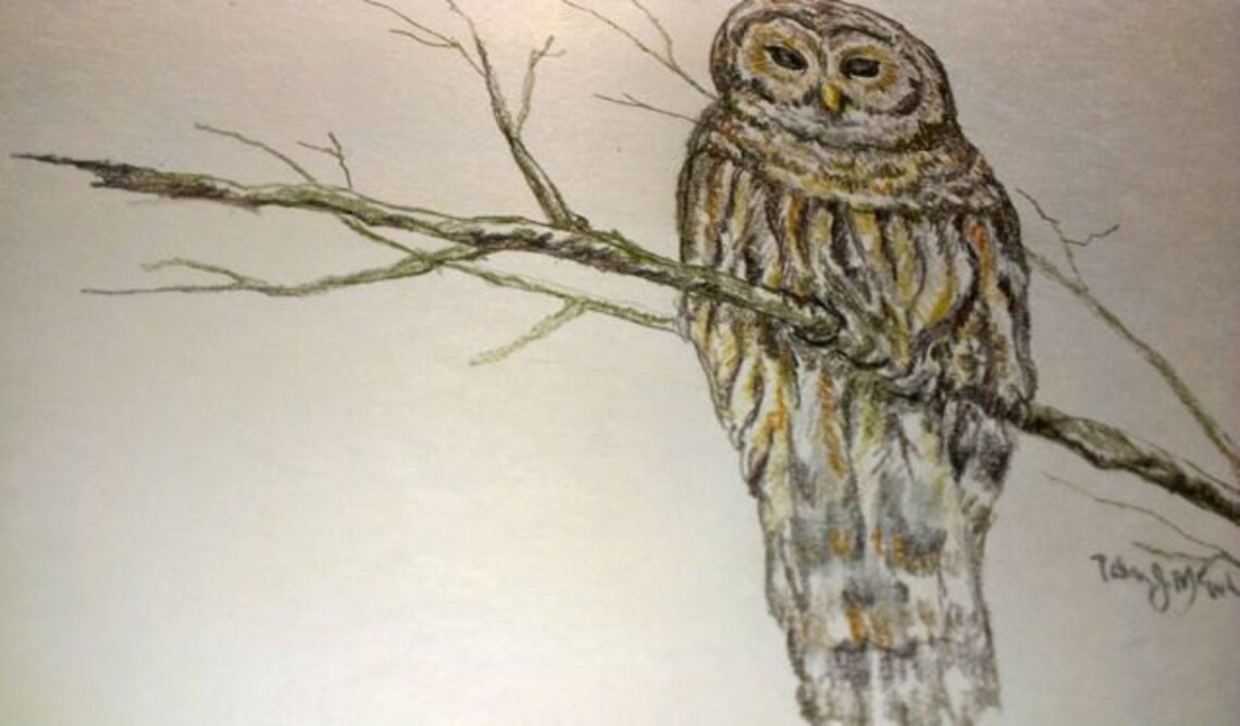 She's a Hoot, Owl Drawing, Mixed Media Drawing, Home Decor - Etsy