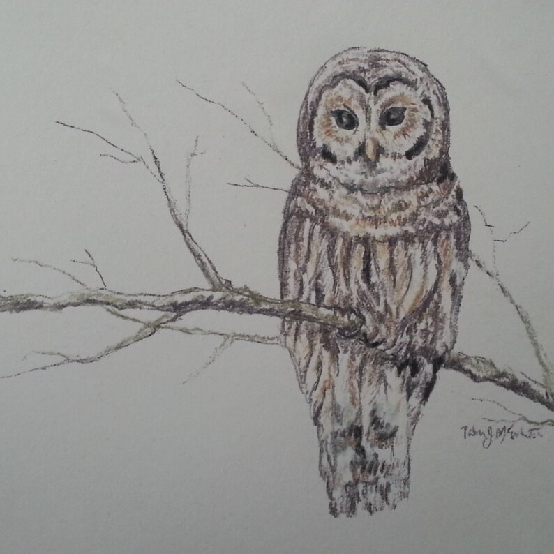 She's a Hoot, Owl Drawing, Mixed Media Drawing, Home Decor - Etsy