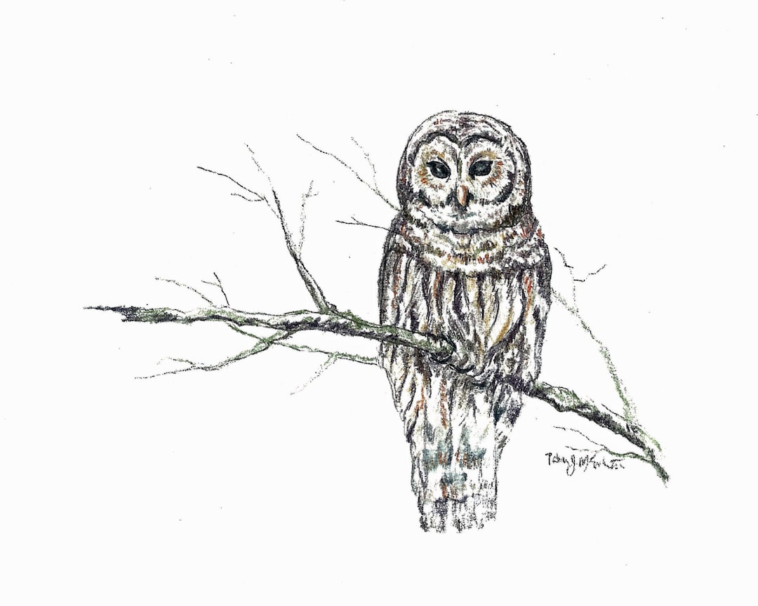 She's a Hoot, Owl Drawing, Mixed Media Drawing, Home Decor - Etsy