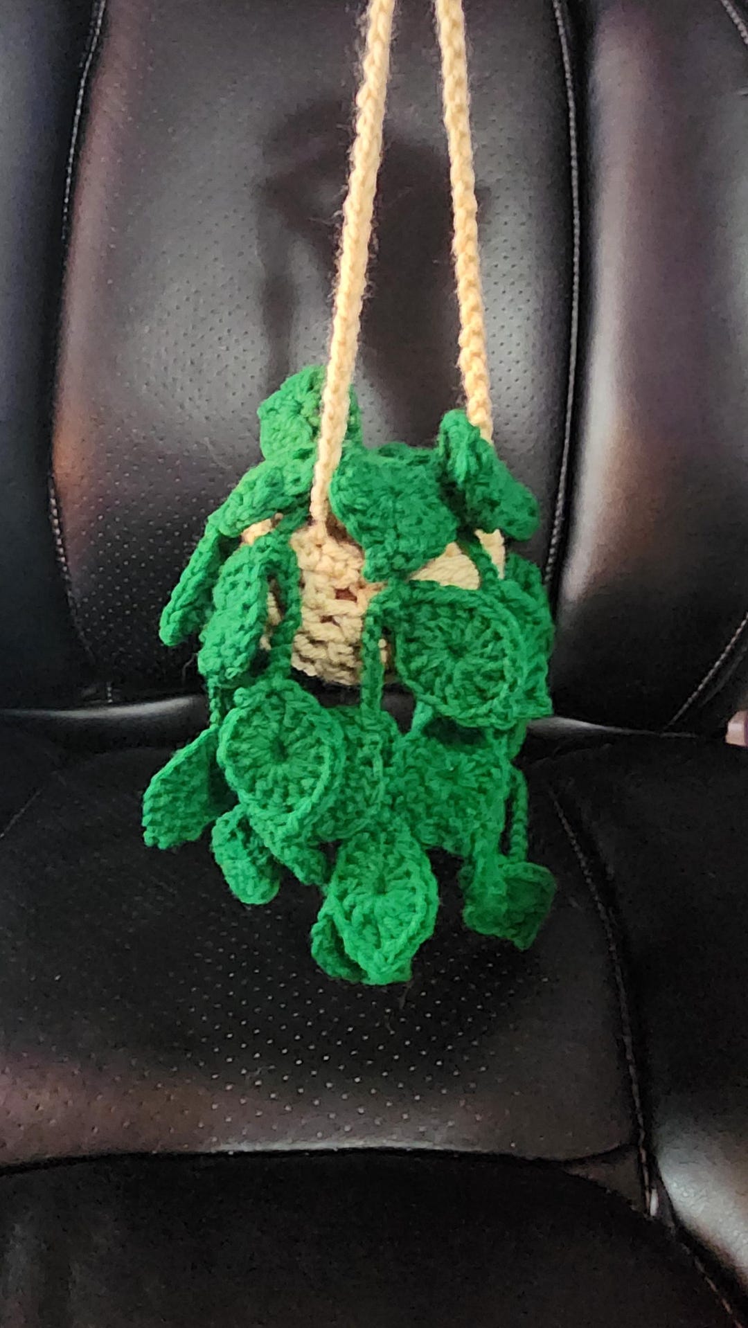 Crochet Hanging Pothos Plant | Handmade Faux Planter Car/home Decor - Etsy