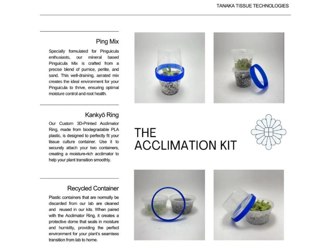 Kankyo Tissue Culture Acclimation Kit - Etsy
