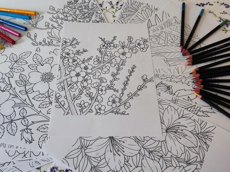 Nature Coloring Book Vol. 1 – Printable A4 PDF, 20 Botanical Line Art ...