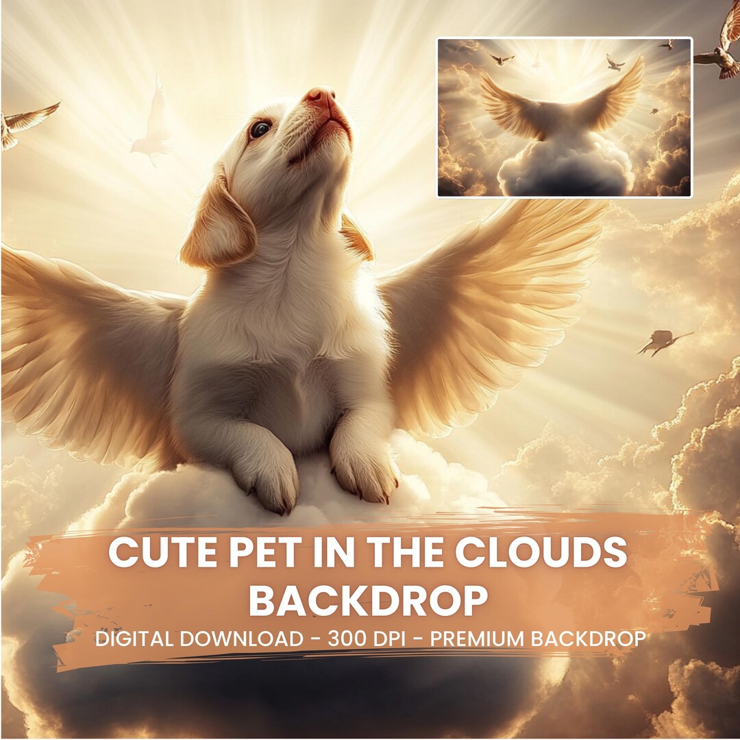 Pet Backdrop for Photos Customizable Backgrounds for Pet Portraits ...