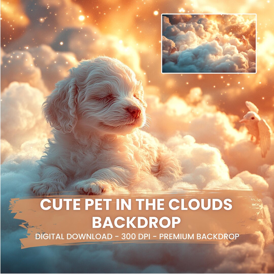 Pet Backdrop for Photography Cute Dog and Cat Photo Session Background ...