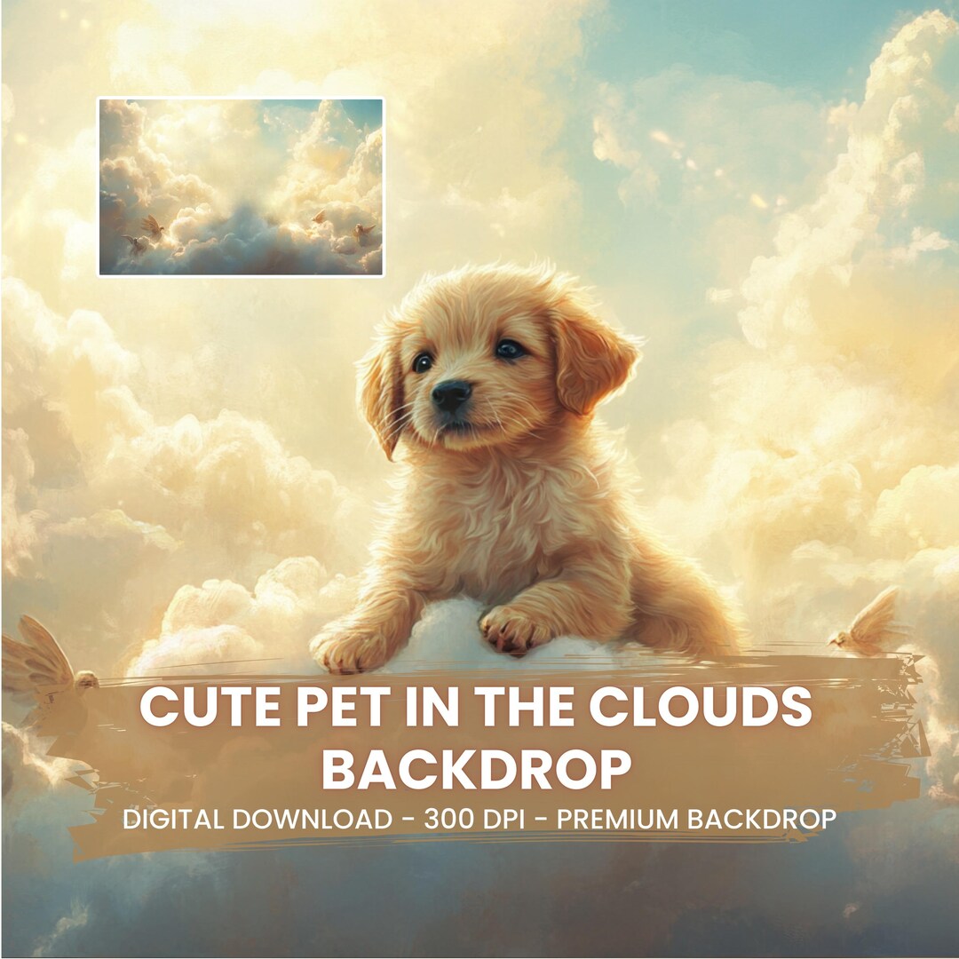 Pet Backdrop for Photoshoots, Customizable Pet Photography Background ...