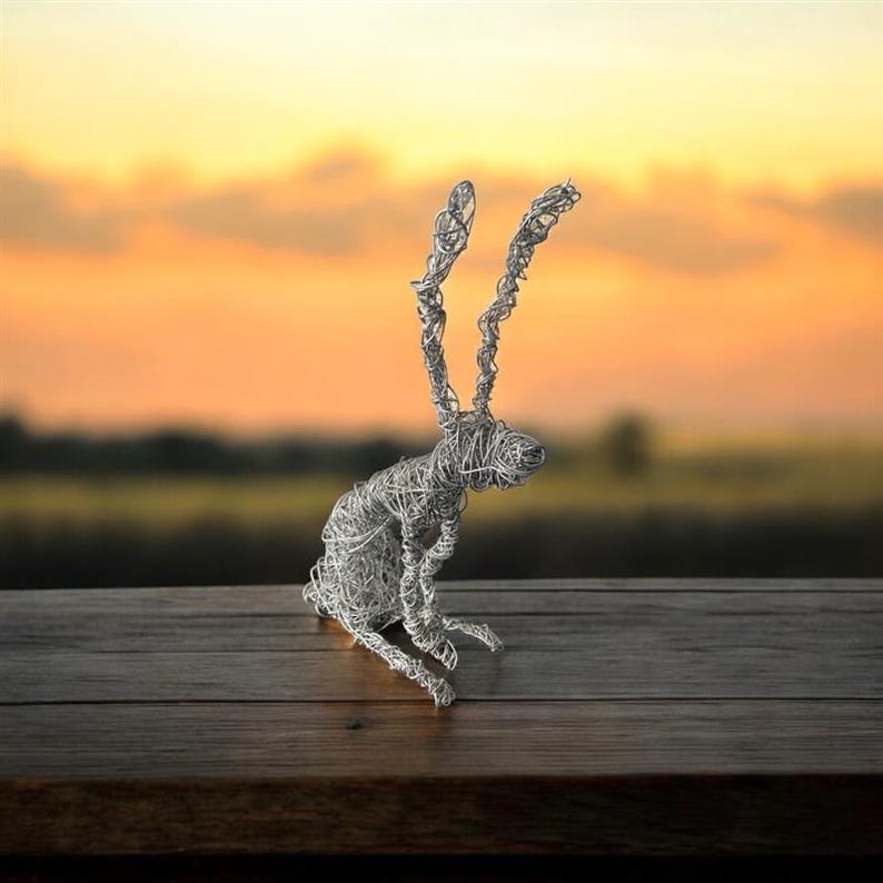 The Tortoise and the Hare Wire Sculpture - Etsy