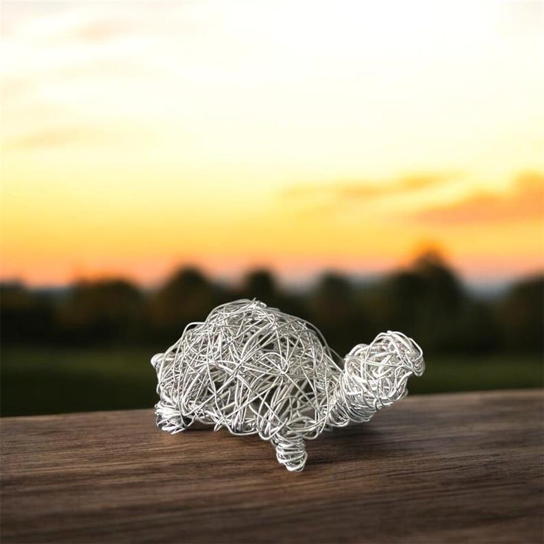 The Tortoise and the Hare Wire Sculpture - Etsy