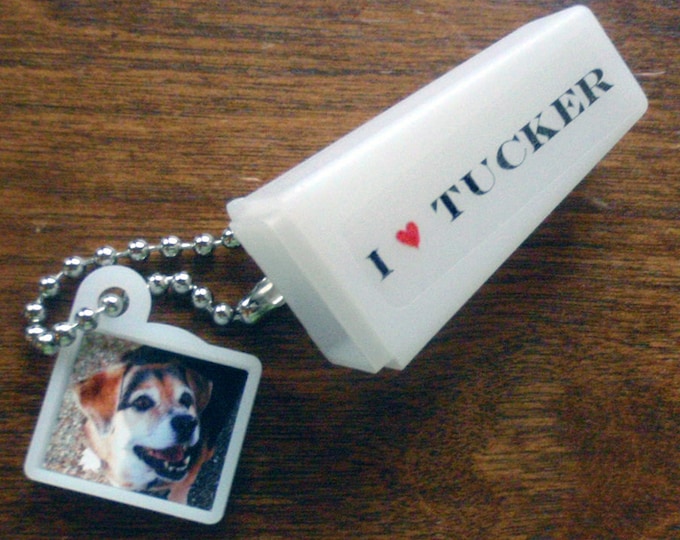 Pet Keepsake. Personalized Photo & Words. Keychain Viewfinder. Photo ...