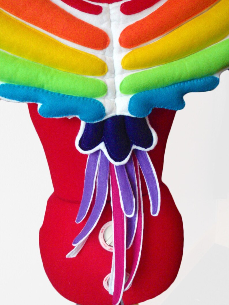 Rainbow Bird Wings. Bright Color Parrot Phoenix. Durable. - Etsy